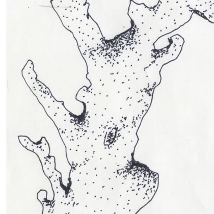 Joyce Allen Textiles