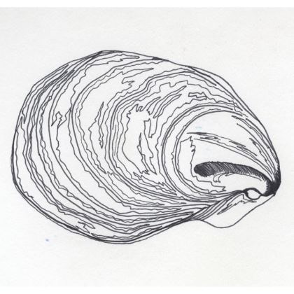 Joyce Allen Textiles