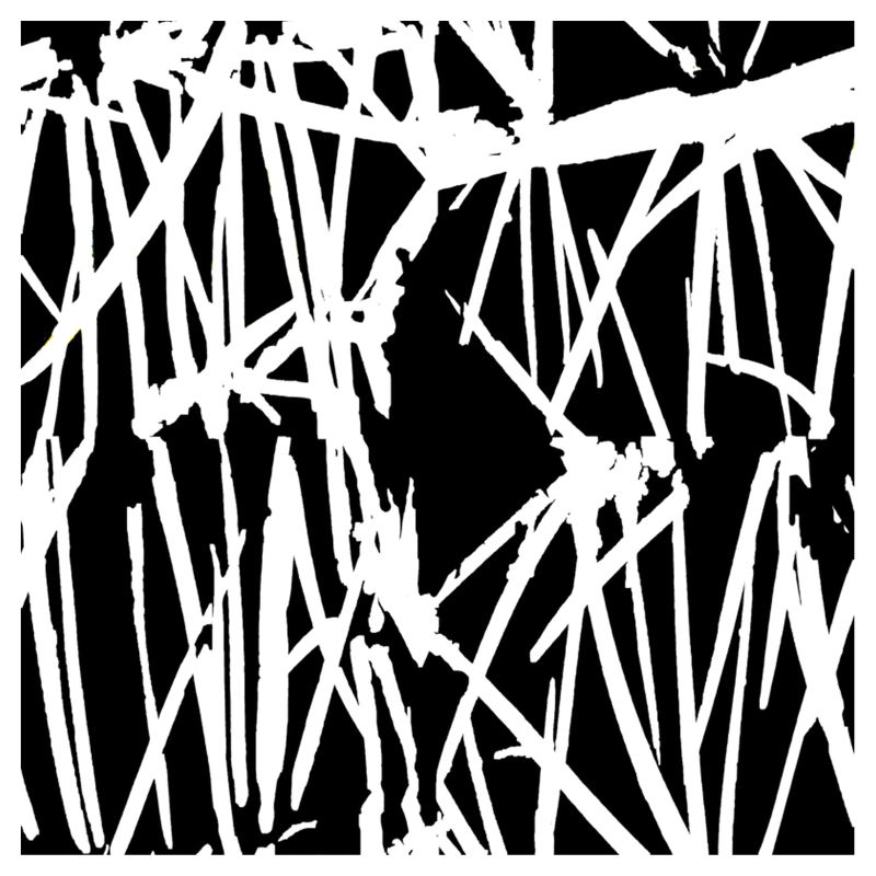 Lightning Bomber Jacket