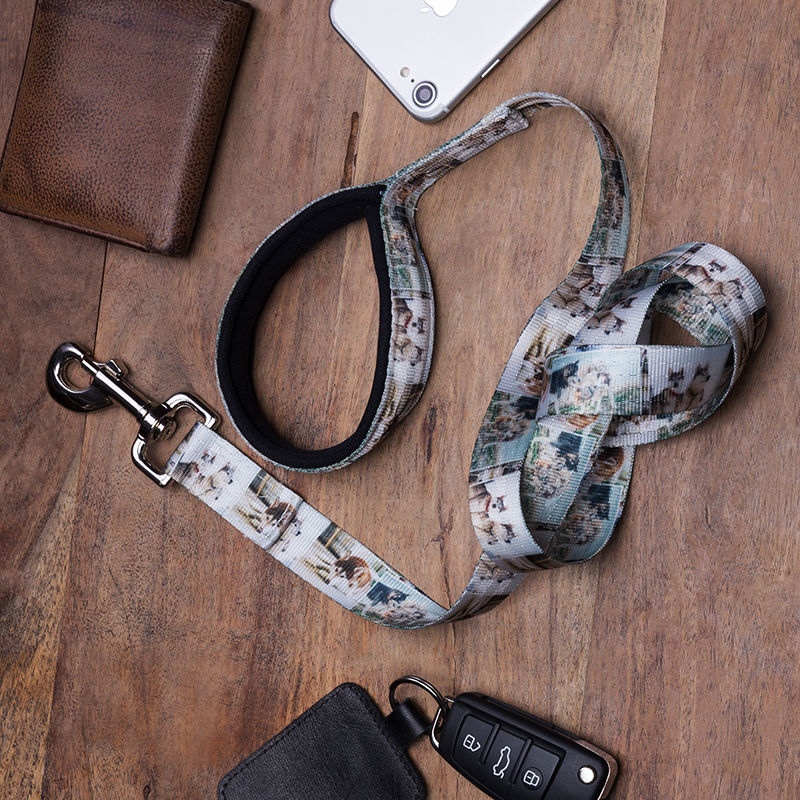 Personalised Dog Lead UK. Design Your Custom Dog Leash