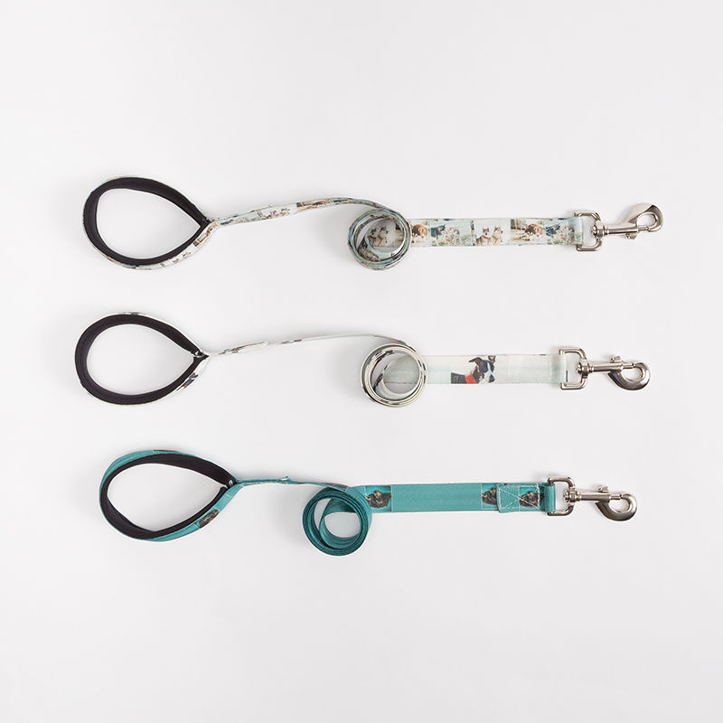Personalised Dog Lead UK. Design Your Custom Dog Leash