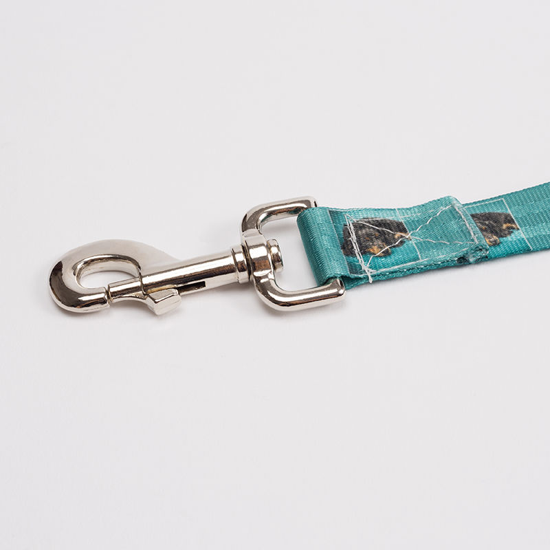 Personalised Dog Lead UK. Design Your Custom Dog Leash