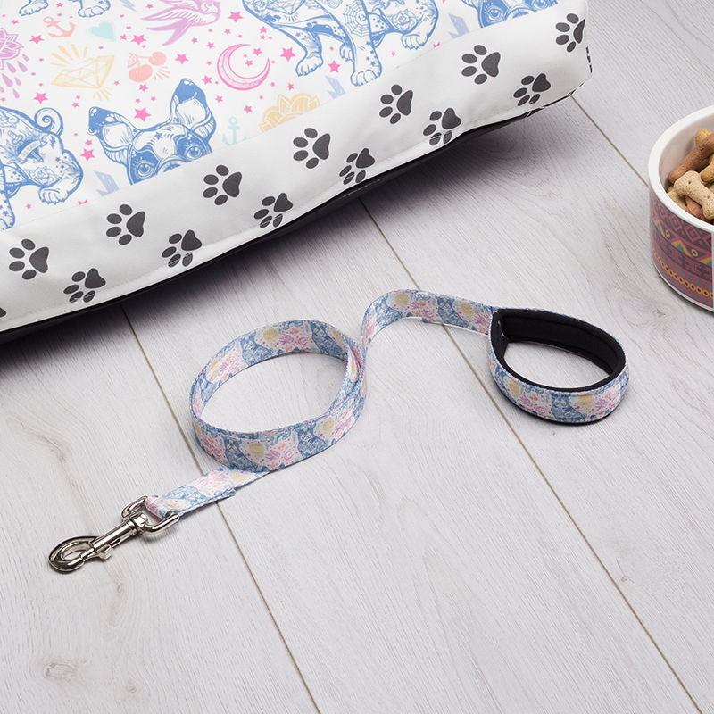 Personalised Dog Lead UK. Design Your Custom Dog Leash