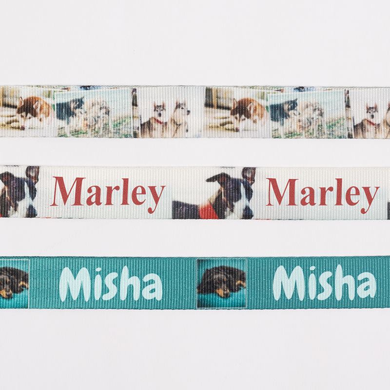 Personalised Dog Lead UK. Design Your Custom Dog Leash