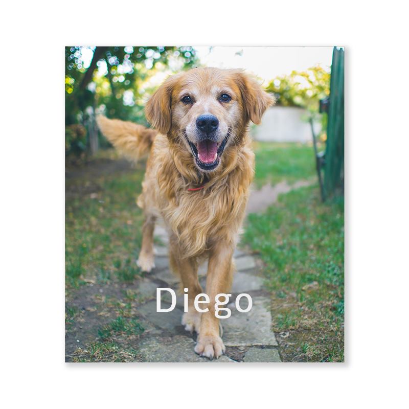 Personalised Word Canvas. Personalised Photo Canvas w. Text