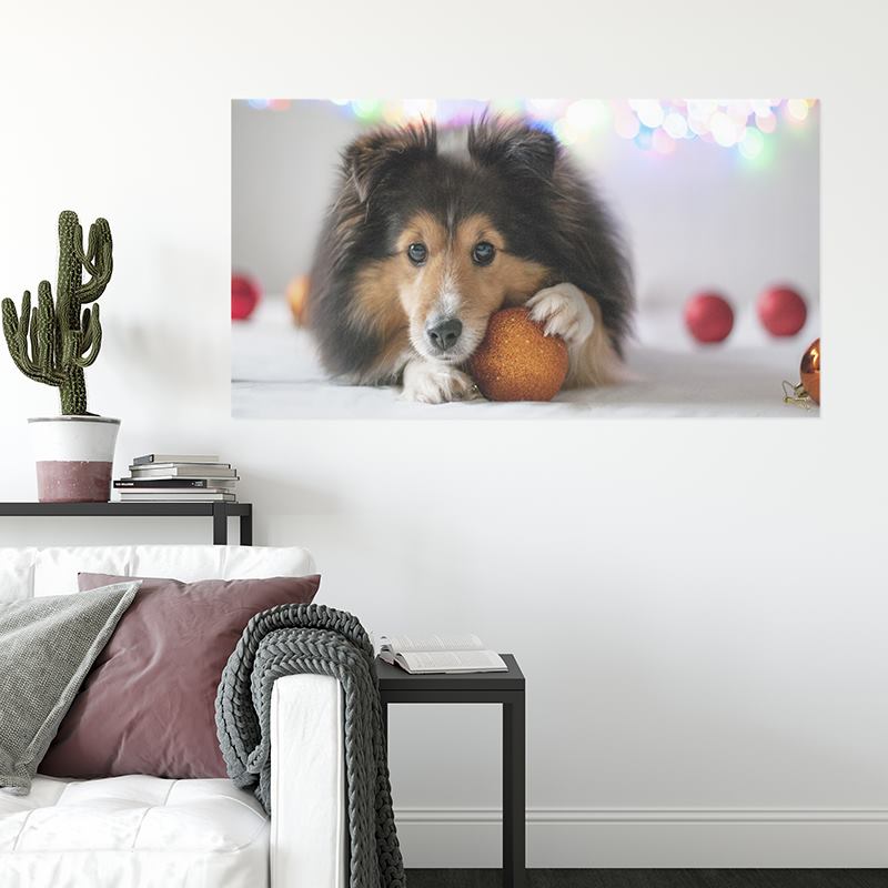 Photo Poster Printing. Custom Poster Printing.