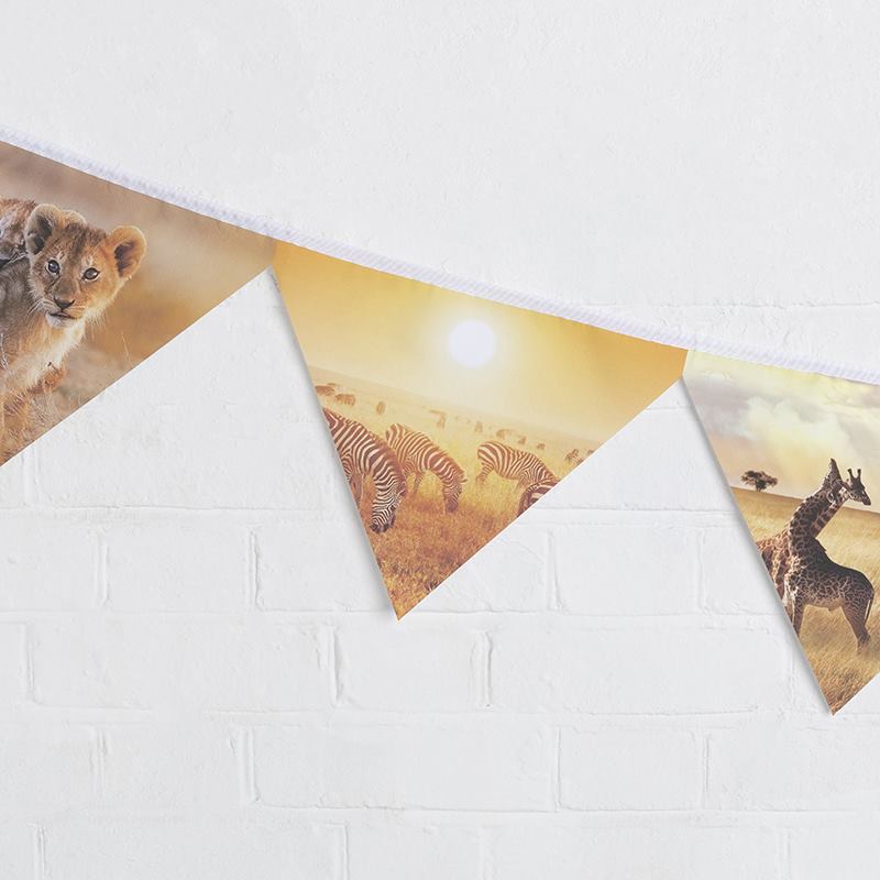 Custom Bunting-Personalised Bunting, 10m, Triangle or Square