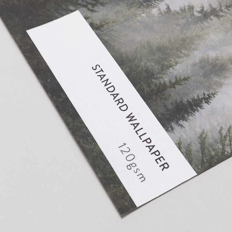 Custom Print Sample Paper. Designed Paper to Print.