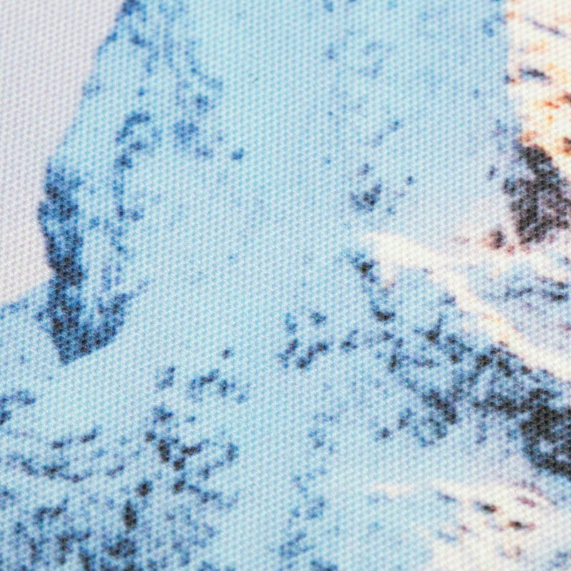 Unframed Canvas Prints UK. Rolled Canvas Prints with Photos