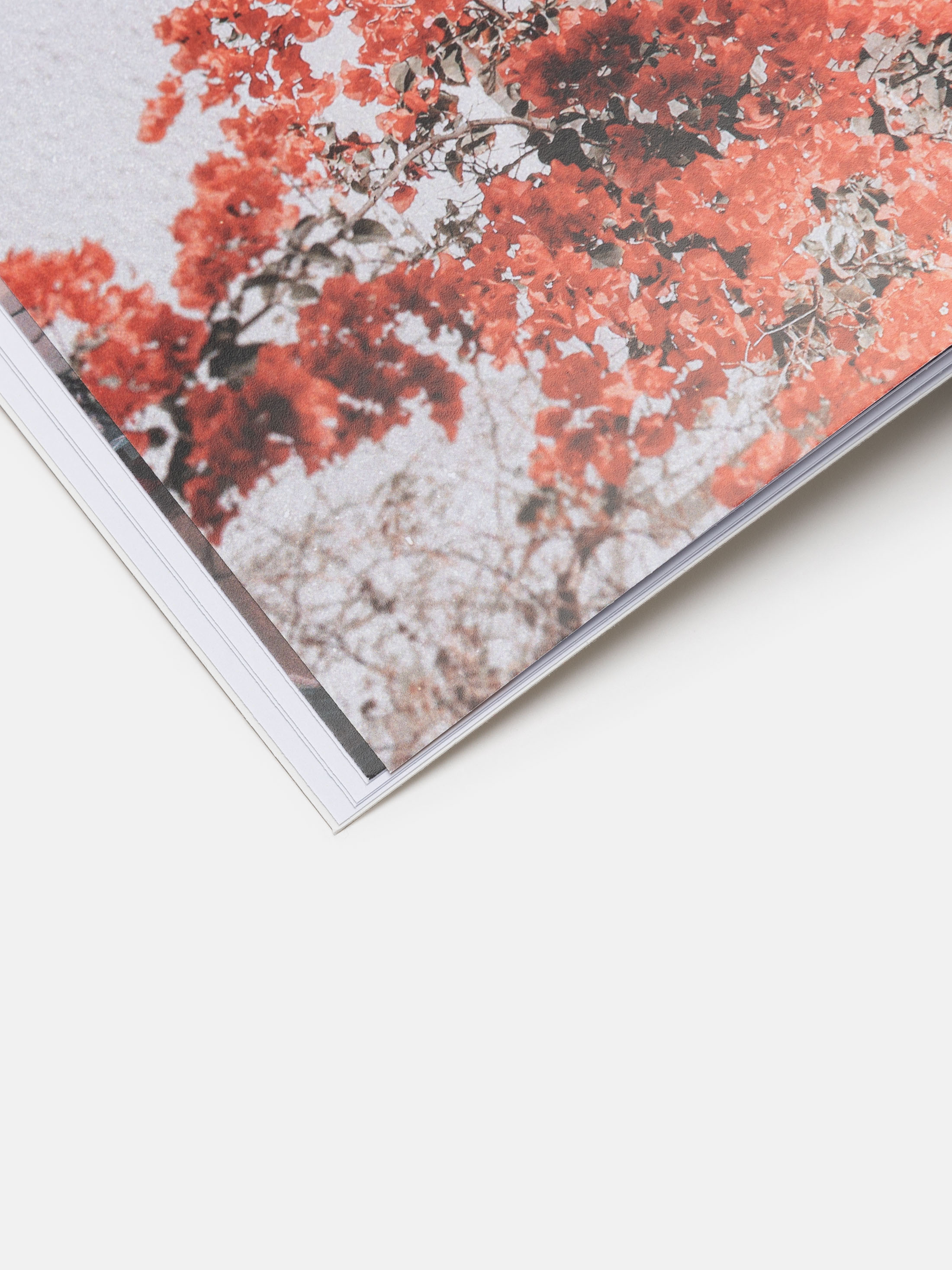 Custom Photo Book Printing for Brochures, Portfolio, etc