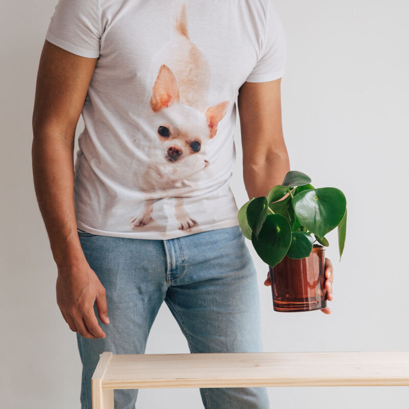 Design Your Own T-Shirt. Create Personalised T-shirts