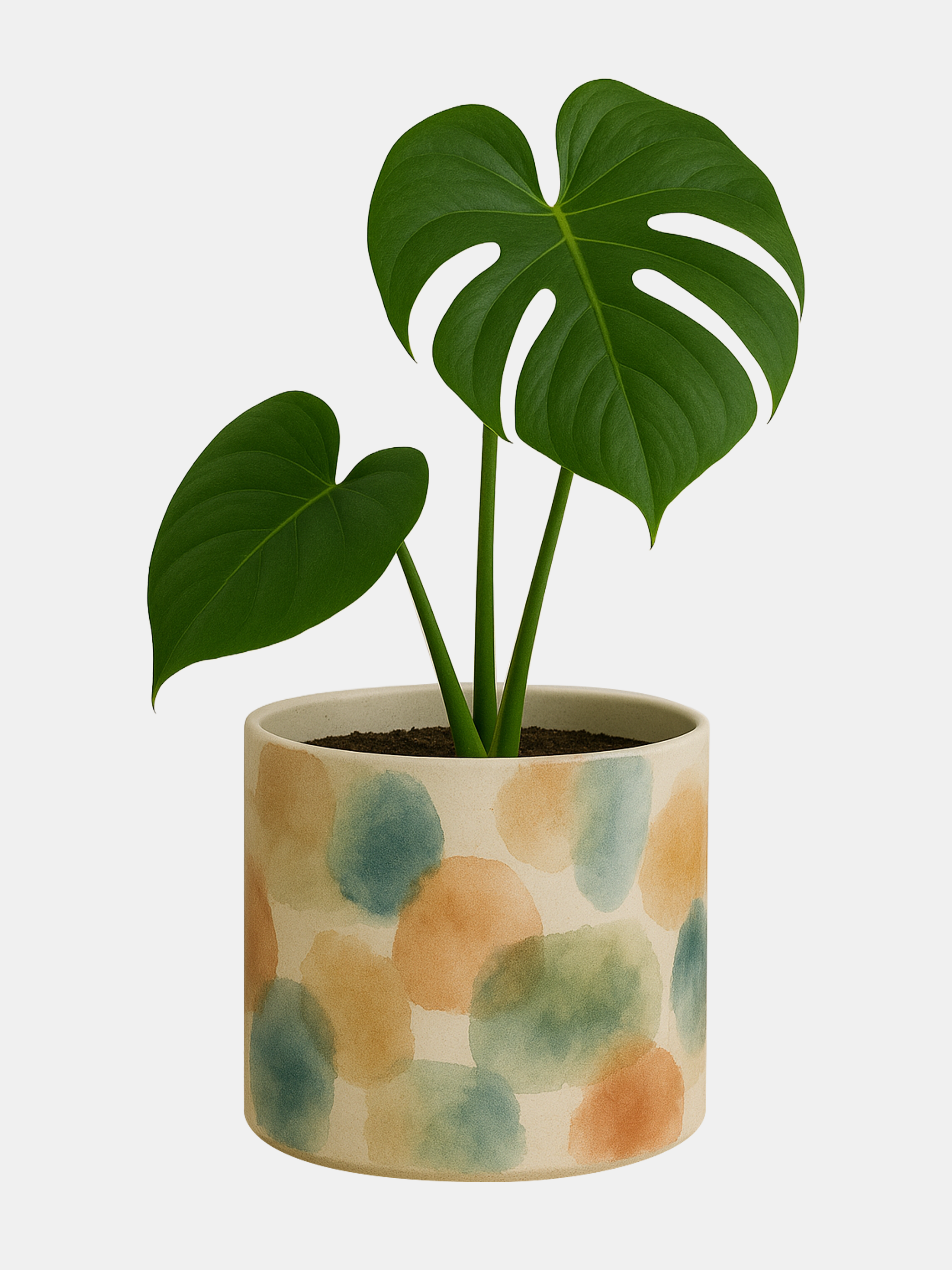 Custom Plant Pots | Create Personalized Flower Pots