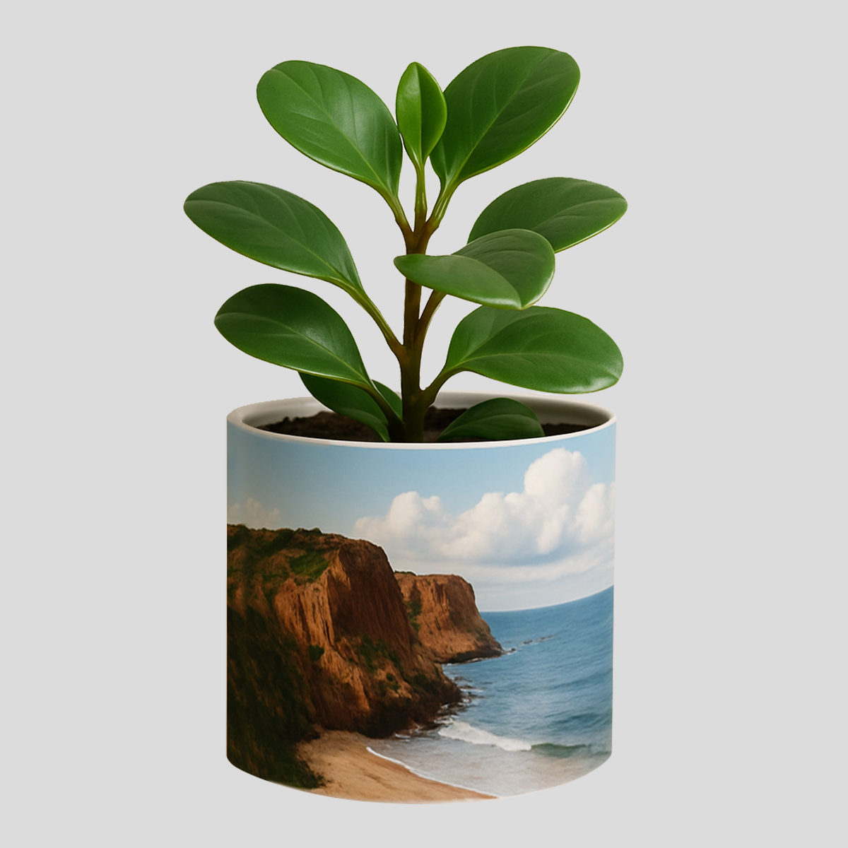 Personalized Plant Pots | Custom Plant Pots | Flower Pot