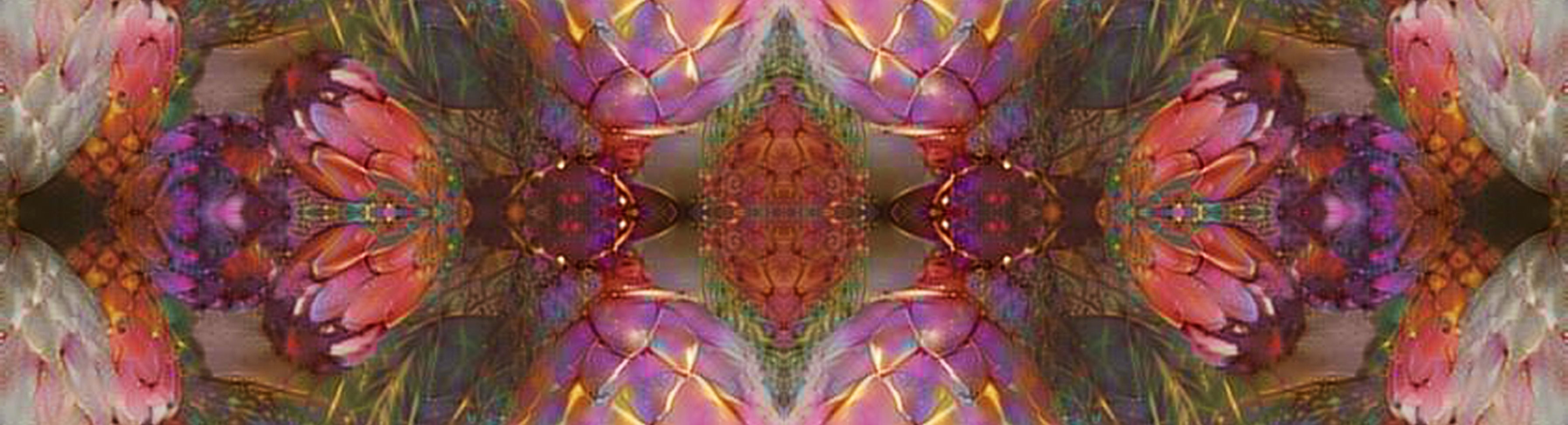 adam konigsberg International © tm ak