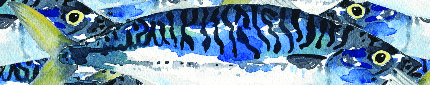 Hannah Clark Illustration