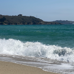 Thermal bottle - Bream Cove Flowers in the sunrise