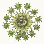 Throw Deep Sea Cryptids on Grey