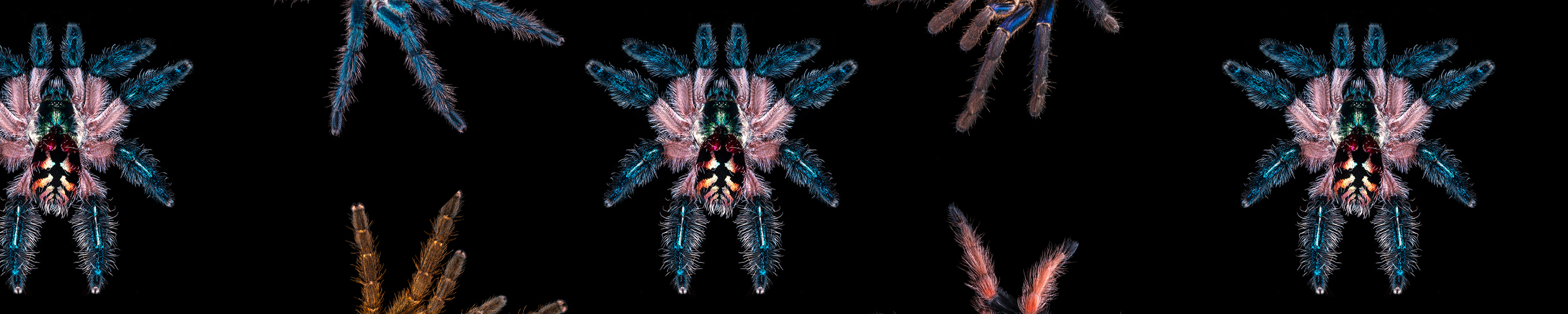 Jimmy Reid Photography