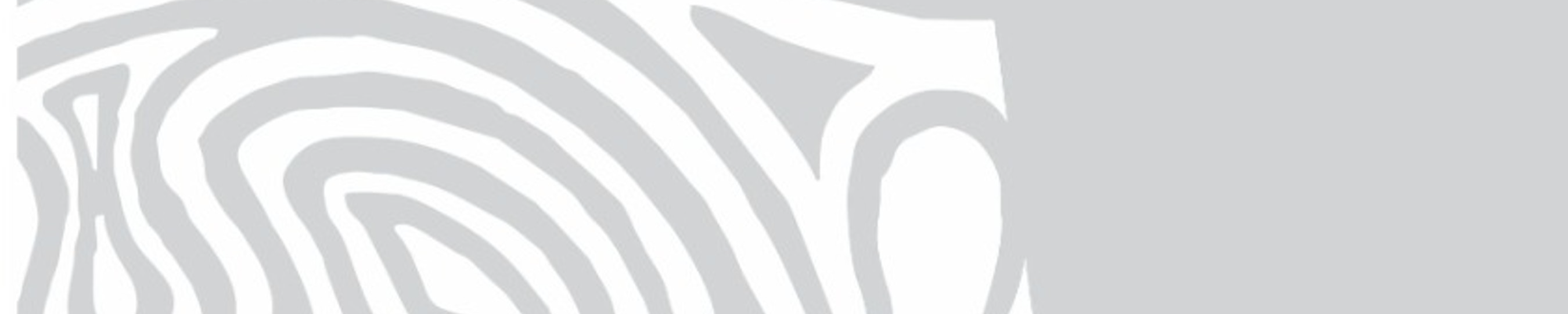 Steve R. Allen Gallery