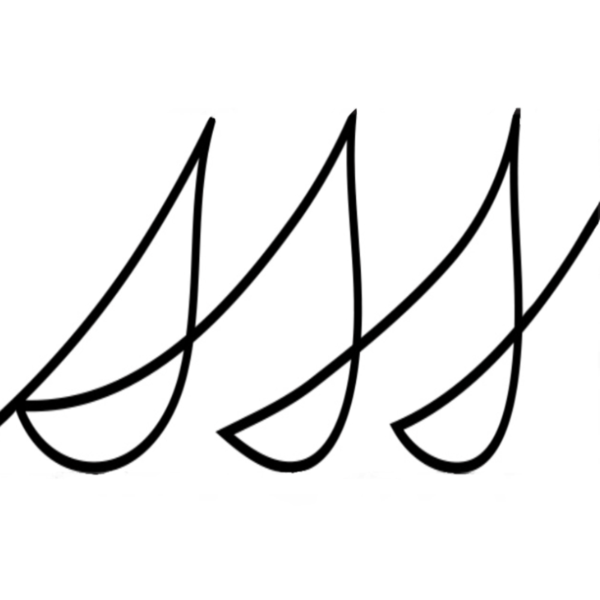 Sandra Saylor Seaman Design