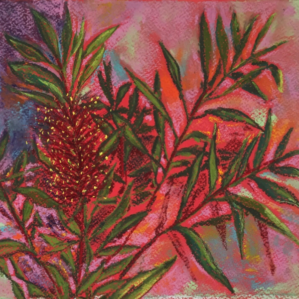 CAROLINE GRIFFITHS